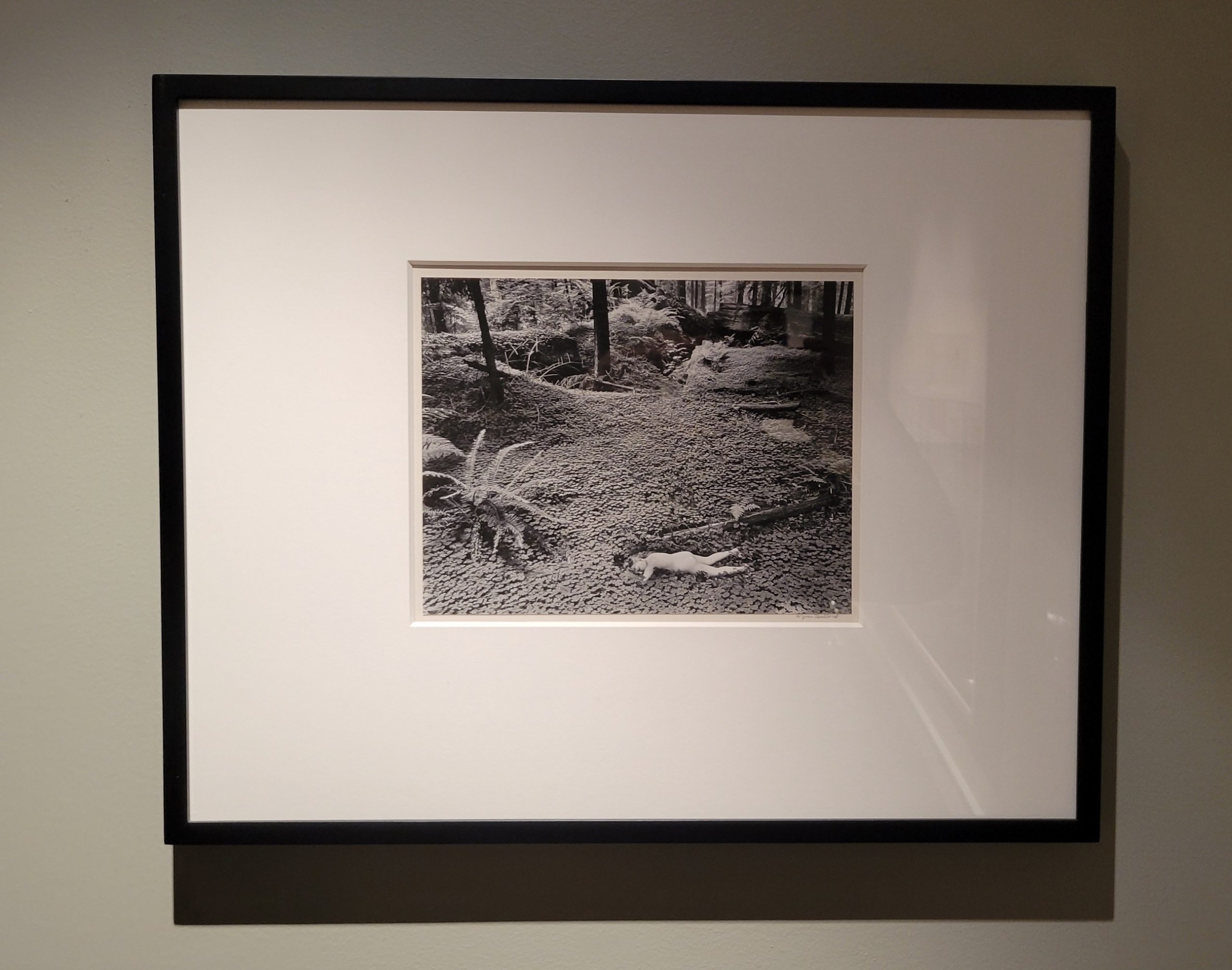 On Collecting with William and Lisa Holderman - Photographic Center ...